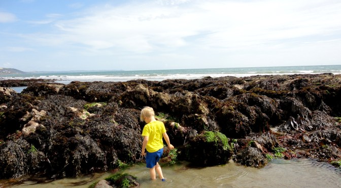 For Kids | Cornish Rock Pools