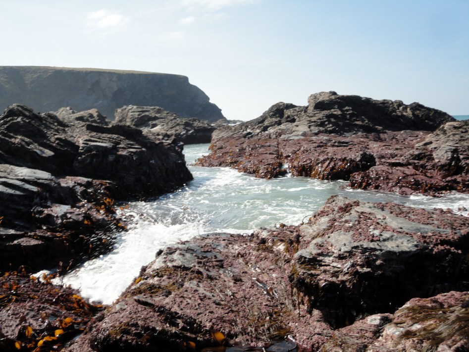 Super-tide in the Cornish rock pools – Porth Mear – Cornish Rock Pools