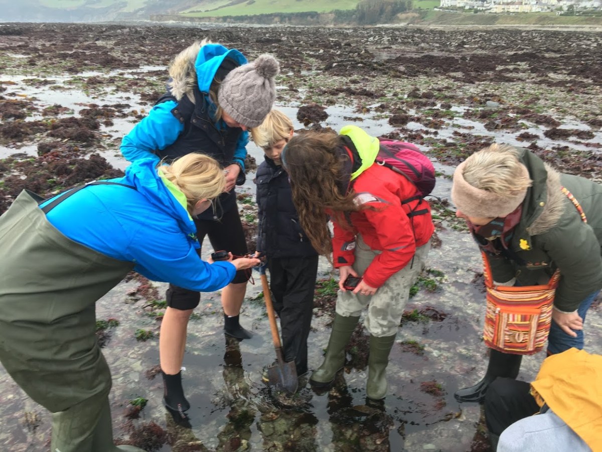 Christmas Rockpooling in Looe | Cornish Rock Pools