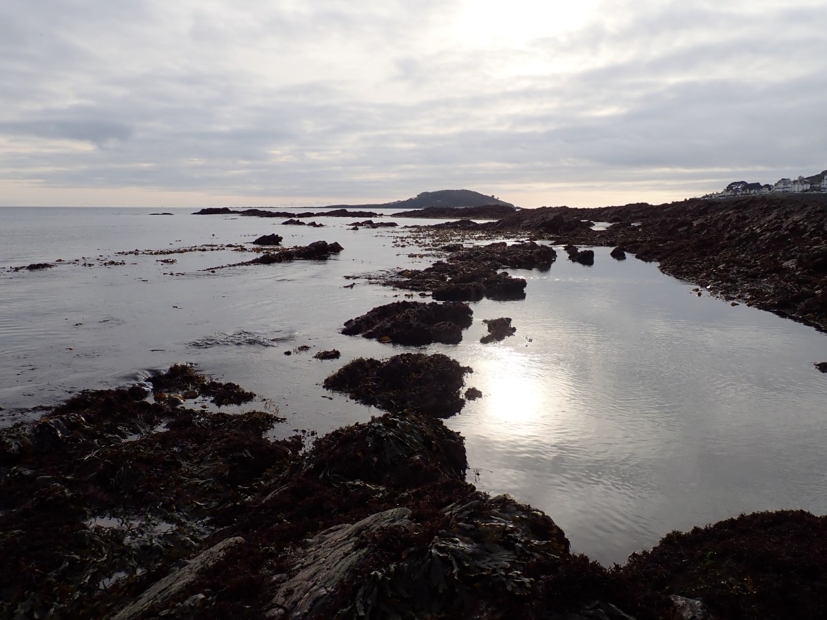 Winter Solstice Rock Pooling | Cornish Rock Pools