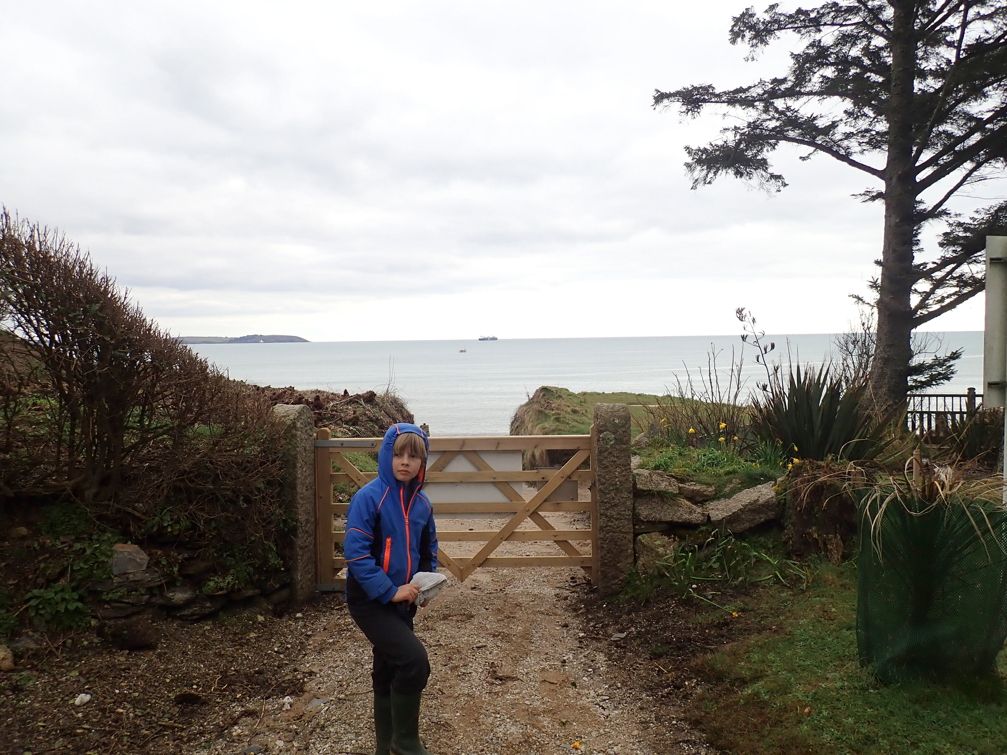 Sneaky Rockpooling at Bream Cove – Cornish Rock Pools