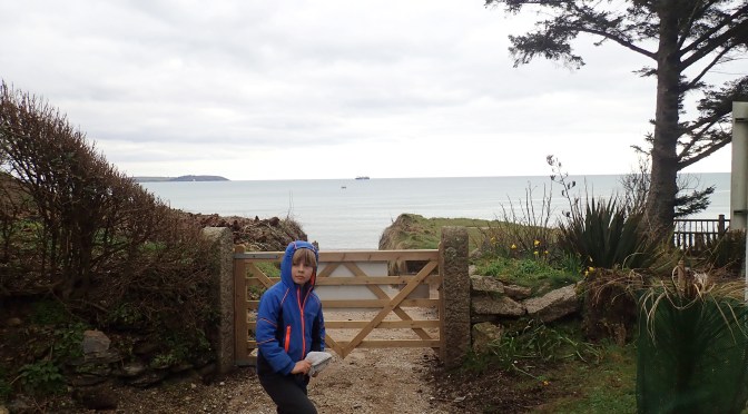 Sneaky Rockpooling at Bream Cove | Cornish Rock Pools