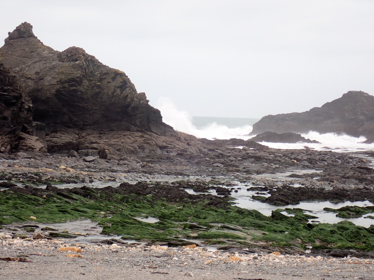 Blustery Rock Pooling in North Cornwall | Cornish Rock Pools
