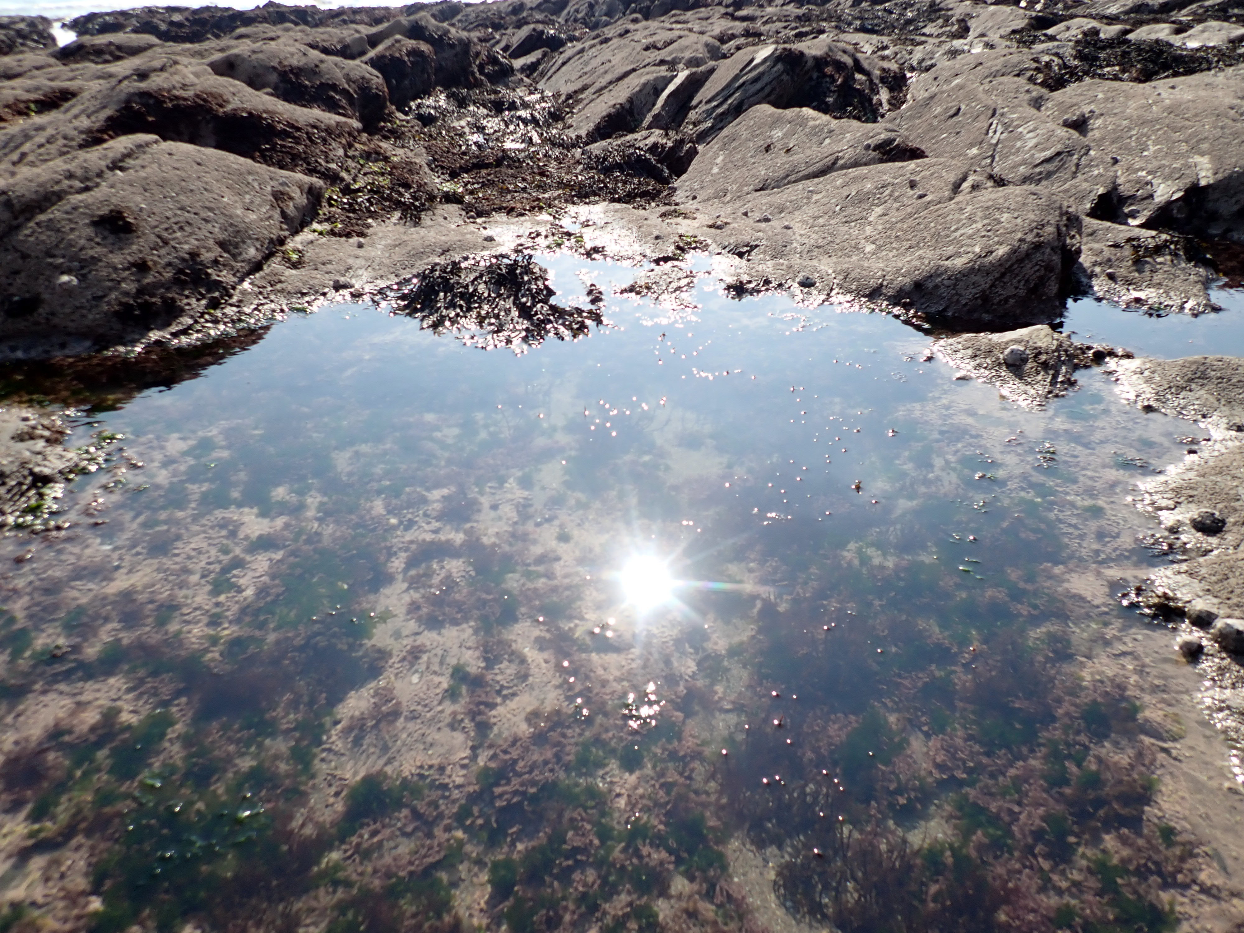 A Rainbow in the Cornish Rock Pools – Andrà tutto bene! – Cornish Rock ...