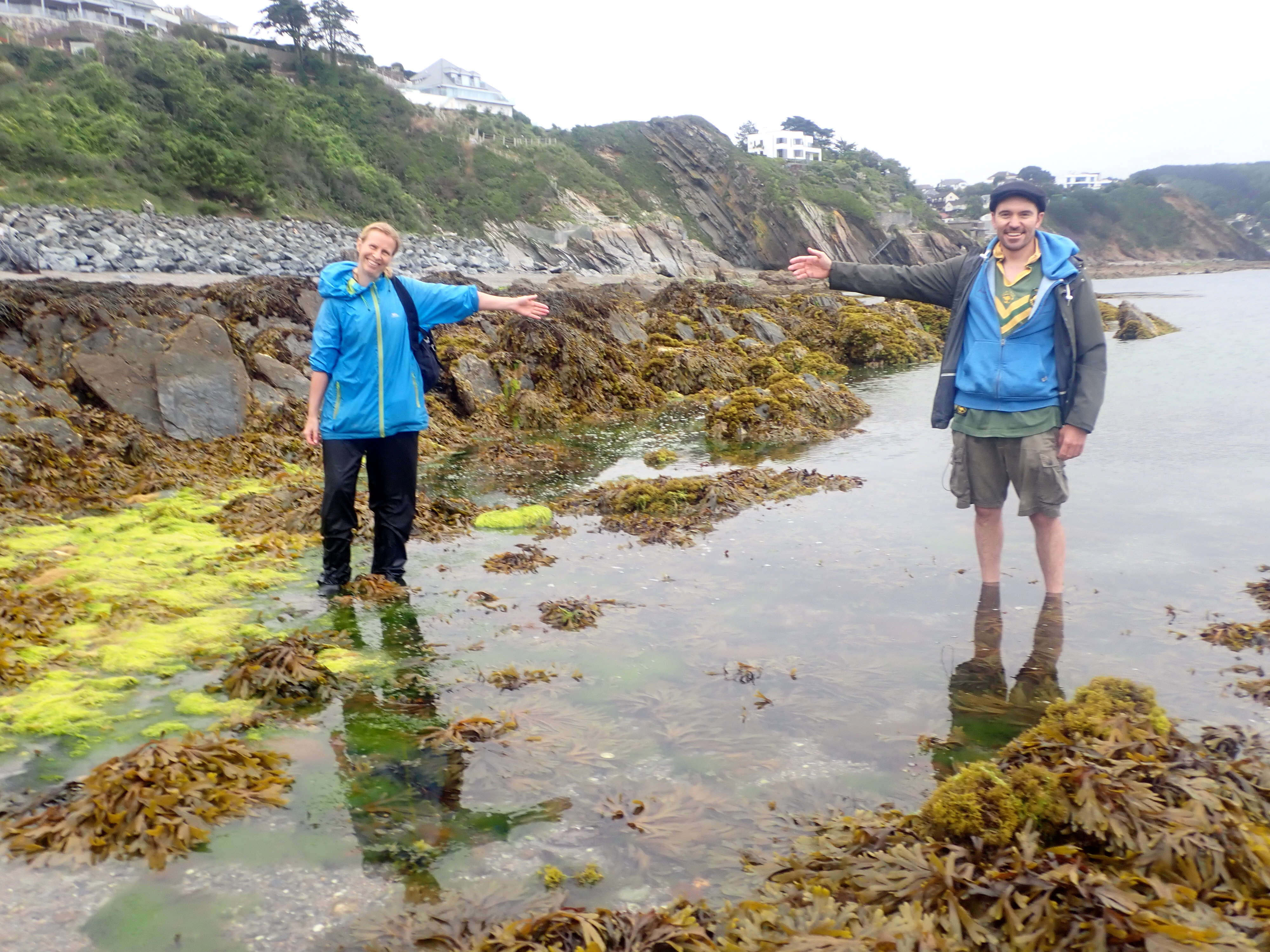 Introducing the Rock Pool Project and the ‘Rocket Jelly’ | Cornish Rock ...