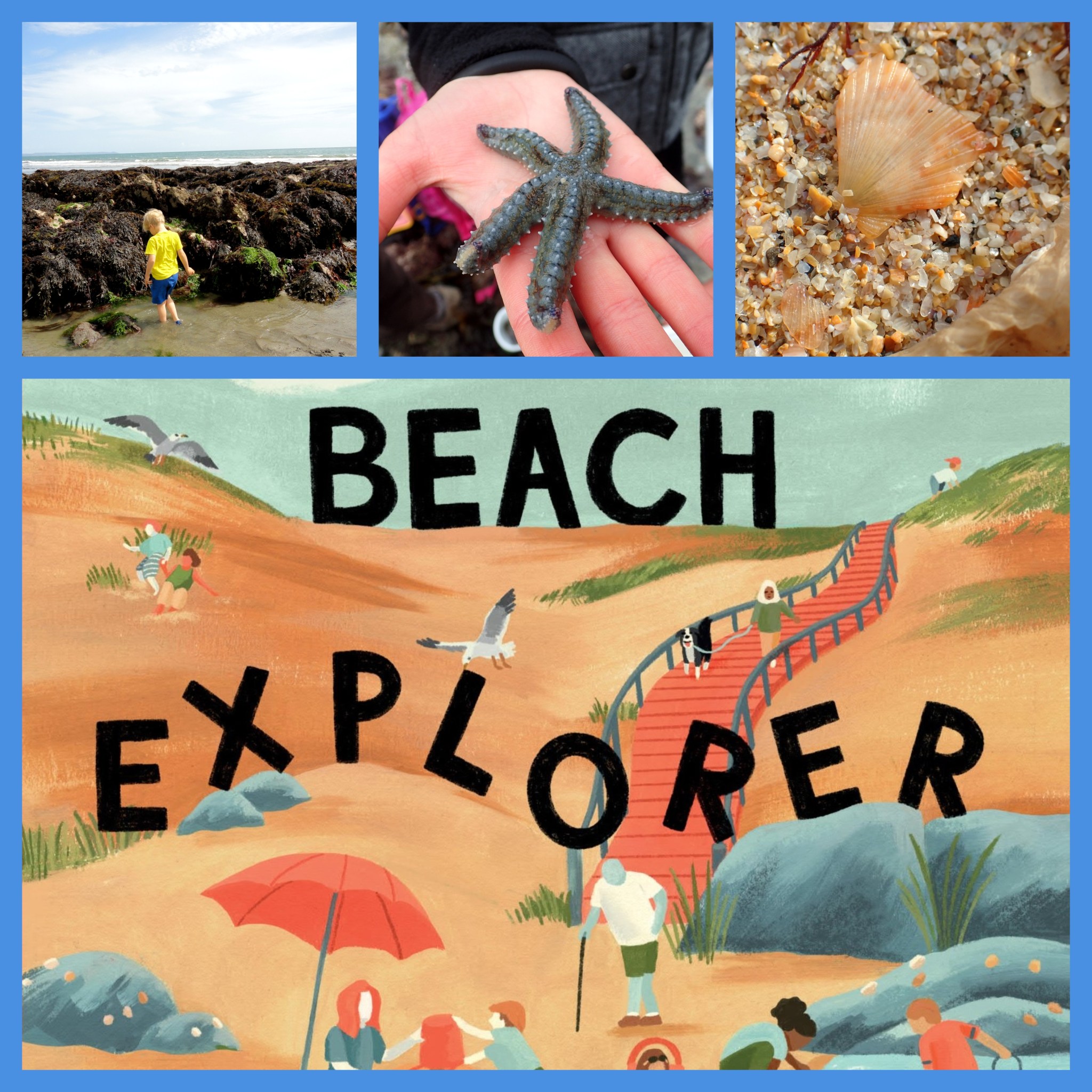 Cornish Rock Pools – For everyone who loves Cornwall's rock pools ...